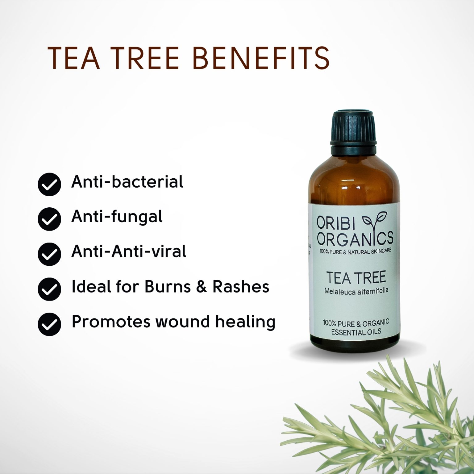 Tea Tree Essential Oil (Bulk) « ORIBI ORGANICS